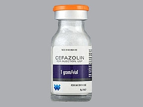 CEFAZOLIN SOD 1GM POWDER INJ [WEST - First Veterinary Supply